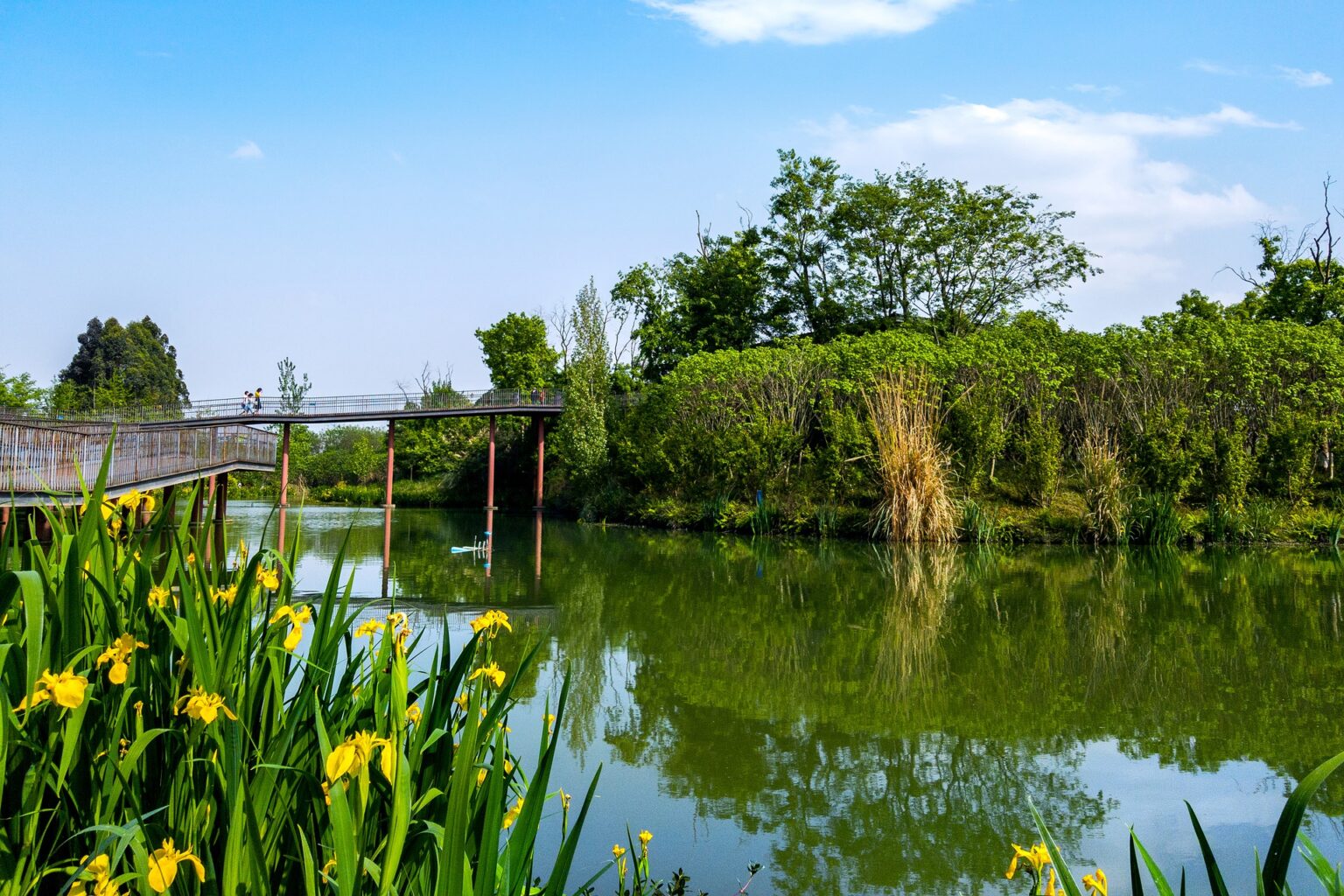 Tianfu Greenway: Embracing Nature in Chengdu, China - The Good Times