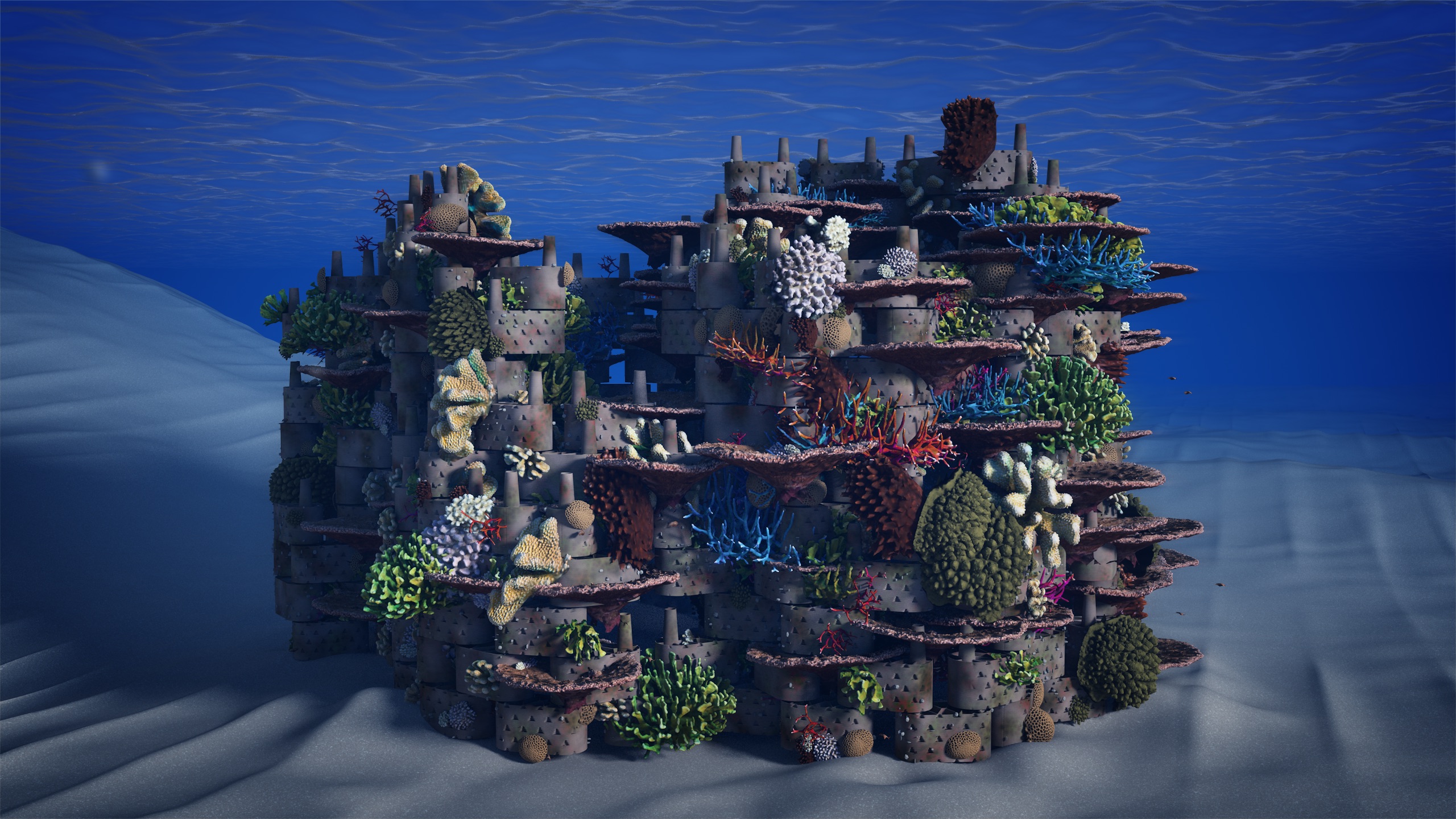 Reef Rescue - The Good Times