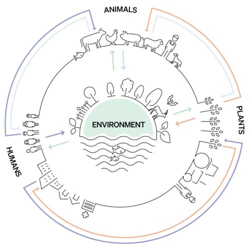 Tackling the Antimicrobial Resistance Threat to Human, Animal, and ...